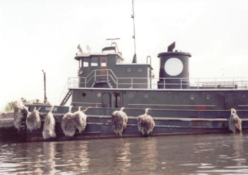 Tugboat Information
